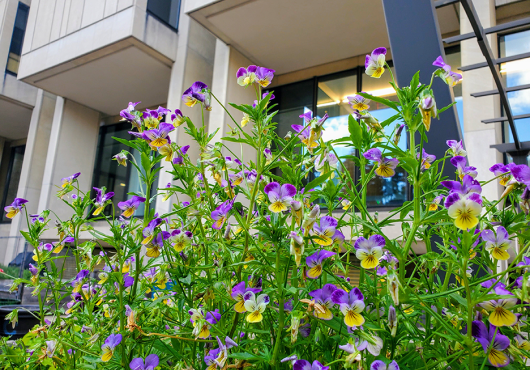 Countway Library | Countway Library